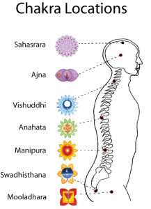 Chakra And Endocrine System Updated 2025