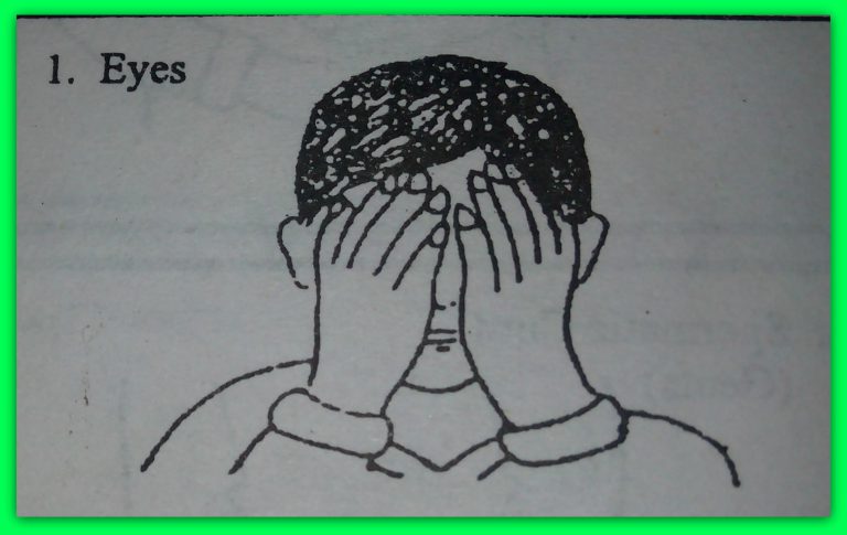 26 Reiki Points For Self Treatment | Refresh Yourself Updated 2025