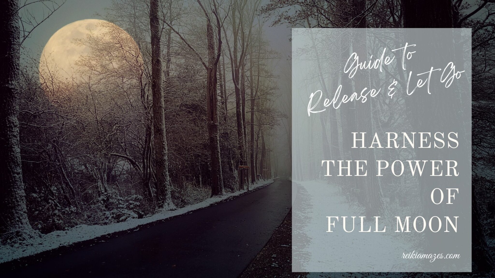 Harness The Power Of The Full Moon: Your Guide To Release & Let Go ...