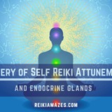 26 Reiki Points For Self Treatment – refresh yourself everyday .. Reiki ...